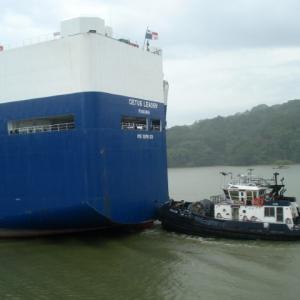 Force | Primary Connections